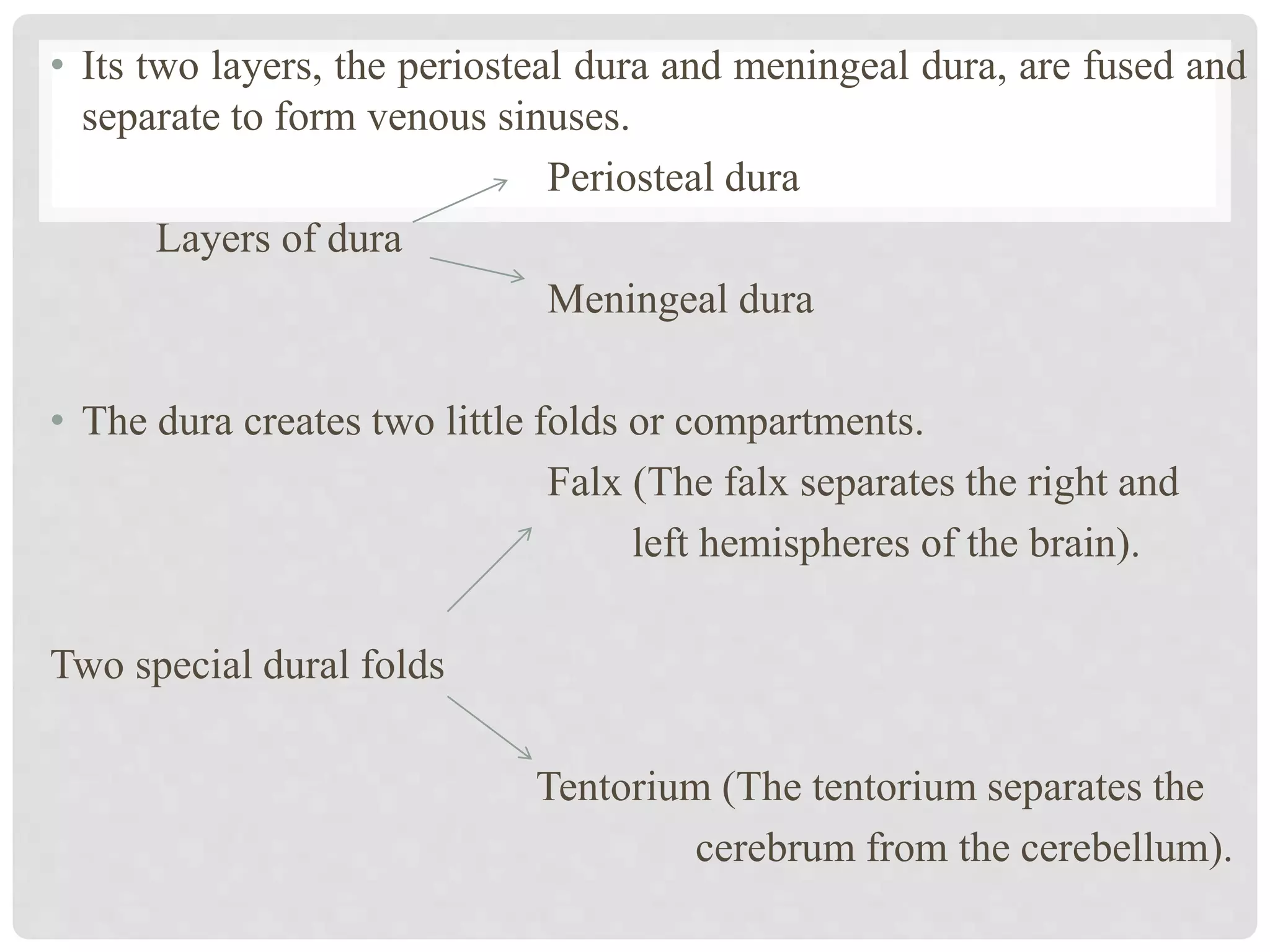 Meninges | PPTX