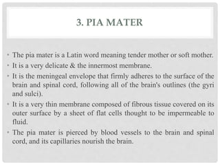 Meninges | PPTX | Death, Injury, or Military Conflict | Sensitive Topics