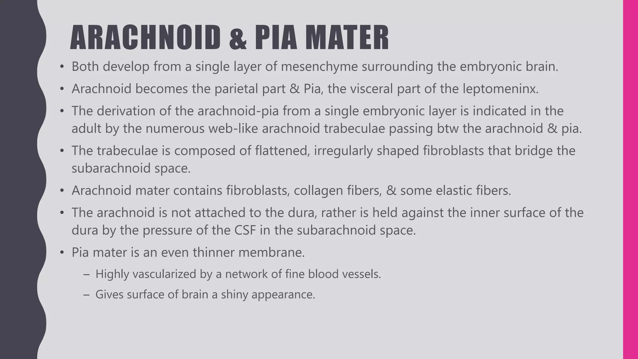 Meninges - Anatomy of the Meninges & CSF | PPTX