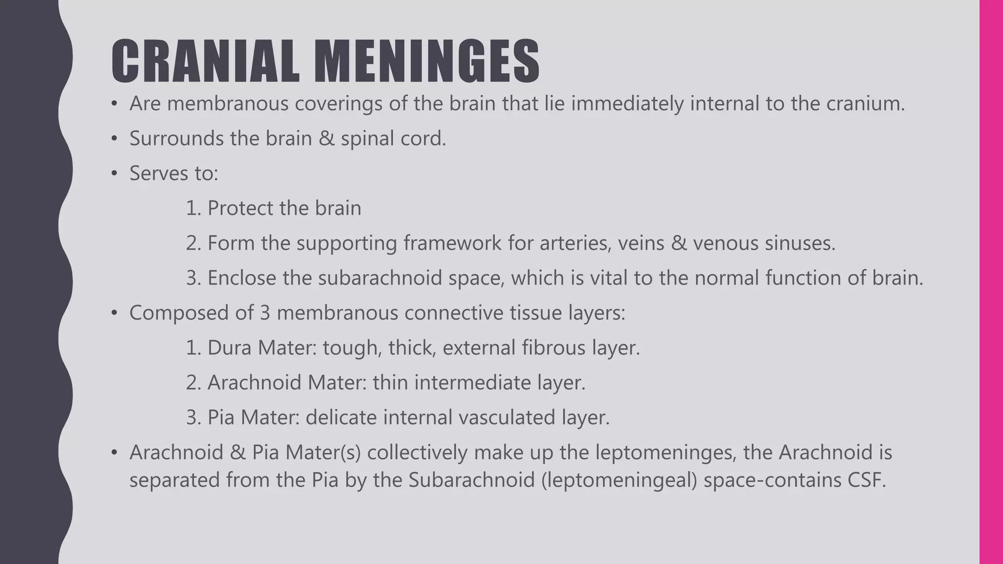 Meninges - Anatomy of the Meninges & CSF | PPTX