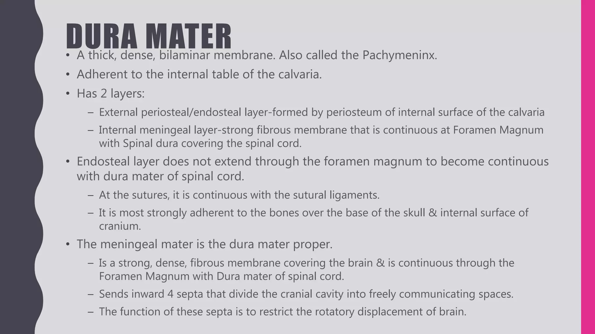 Meninges - Anatomy of the Meninges & CSF | PPTX