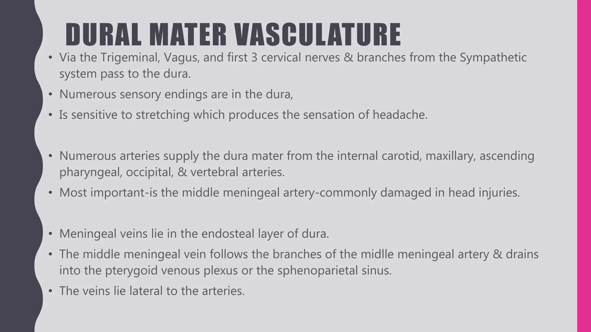 Meninges - Anatomy of the Meninges & CSF | PPTX