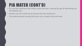 Meninges - Anatomy of the Meninges & CSF | PPTX