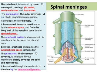 Meninges.ppt