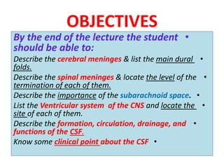 Meninges.ppt