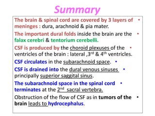 Meninges.ppt