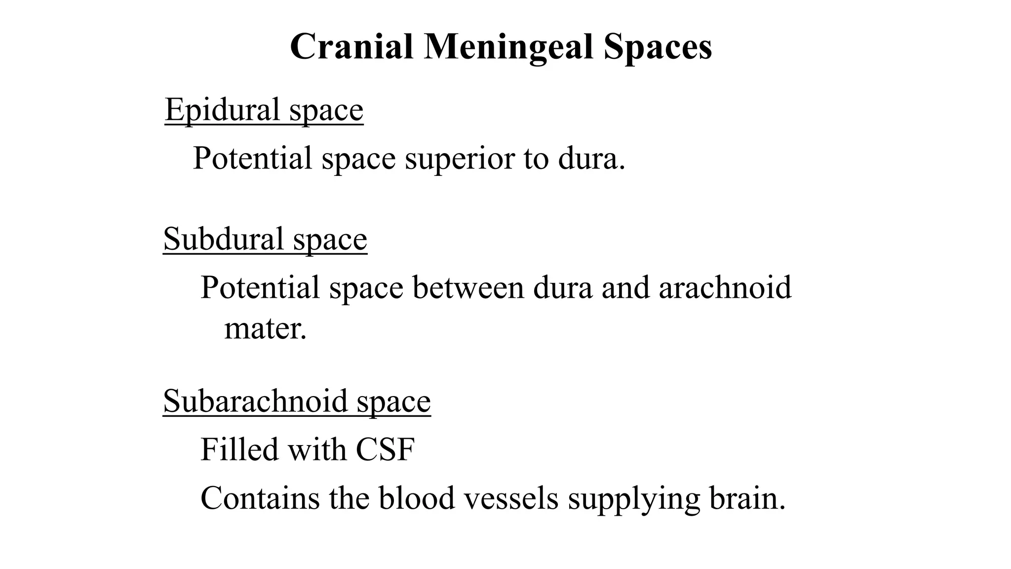 Meninges.pptx