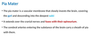 Meninges anatomy of meninges by Abid . . | PPTX