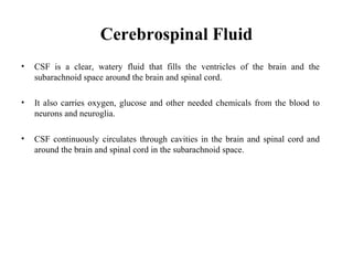 Meninges and csf | PPT