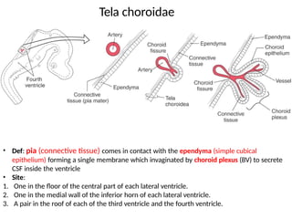 meninges and cerebrospinal fluids ..pptx