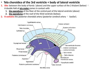 meninges and cerebrospinal fluids ..pptx