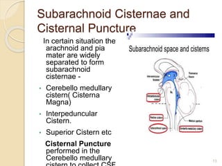 Meninges with it's clinical aspects | PPTX