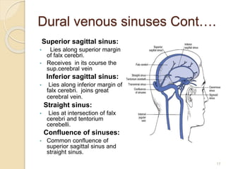 Meninges with it's clinical aspects | PPTX