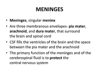 Meninges, bbb, csf, icp, brain edema, hydrocephalus | PPT