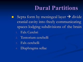 Meninges, Brain’s cavities, and Cerebrospinal fluid_dr. Djoko P. oK.ppt
