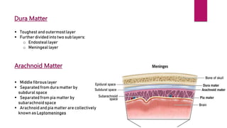 Meninges, Brain ventricle and electrophysiology.pptx