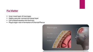 Meninges, Brain ventricle and electrophysiology.pptx