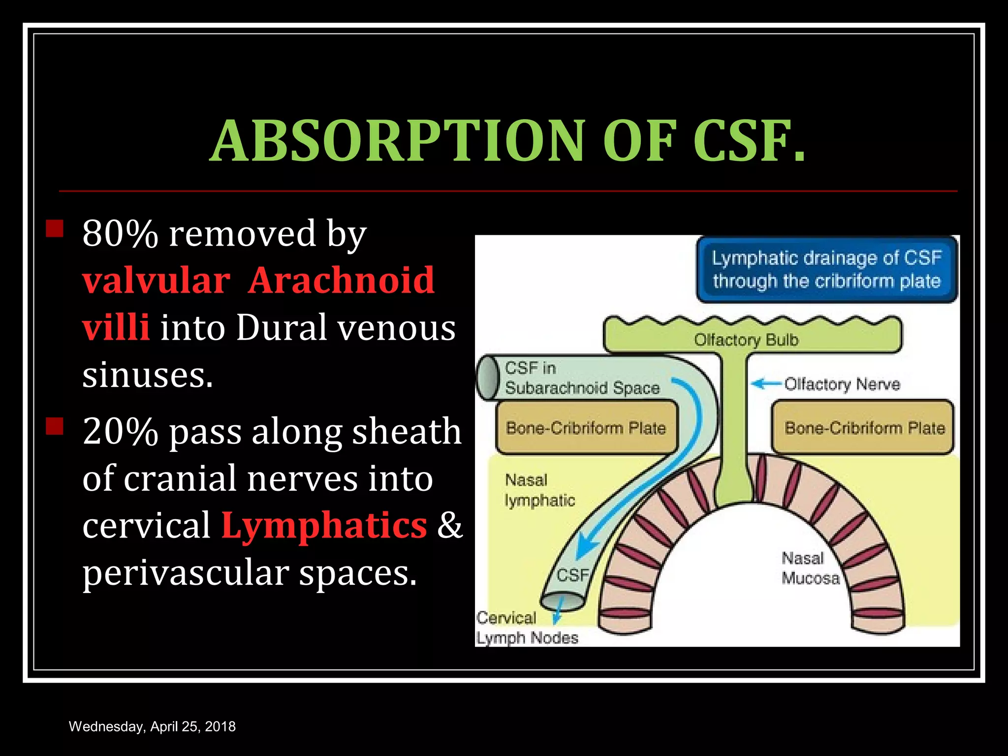 MENINGES, CEREBROSPINAL FLUID AND BLOOD BRAIN BARRIER | PPT