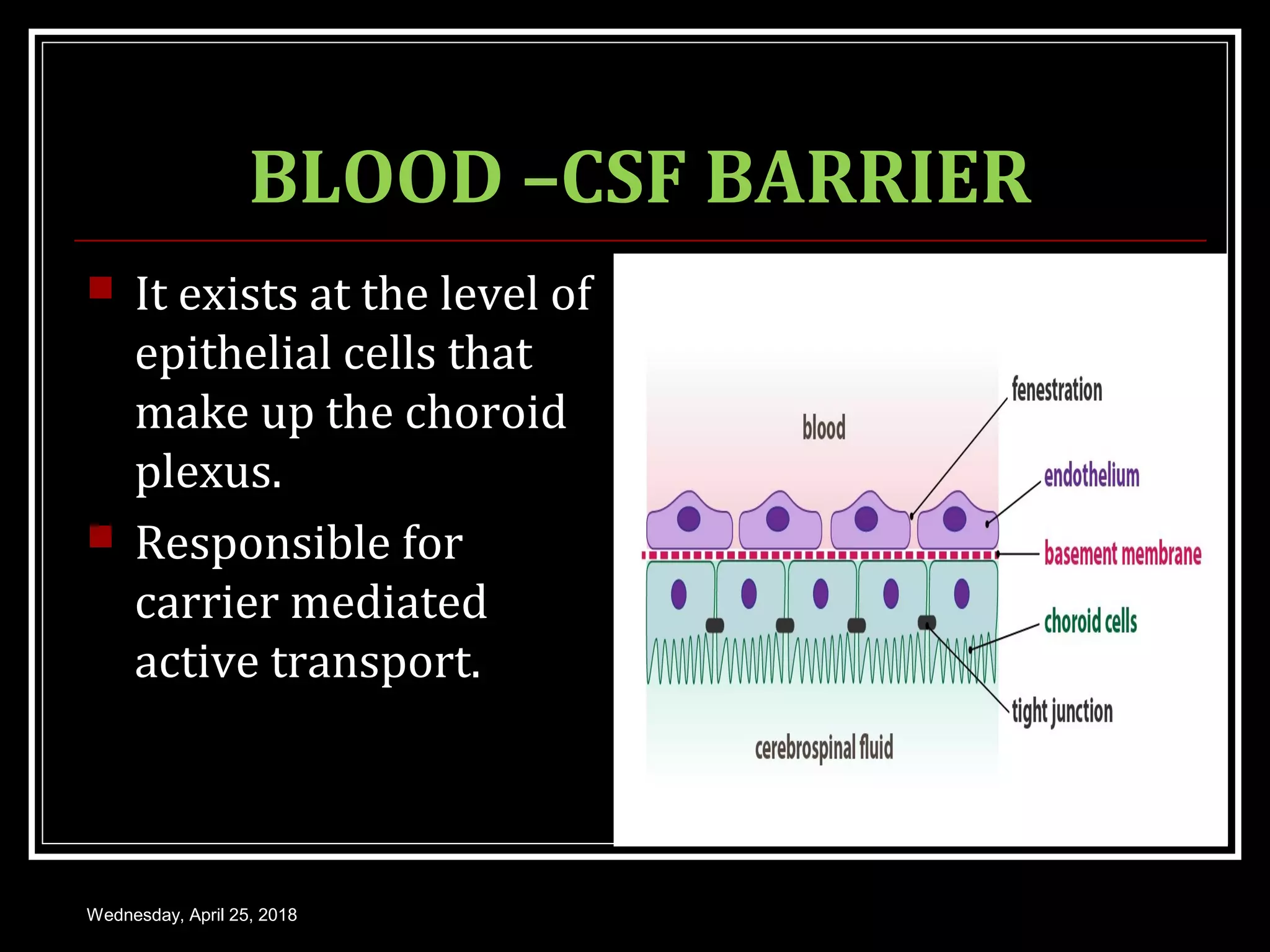 MENINGES, CEREBROSPINAL FLUID AND BLOOD BRAIN BARRIER | PPT