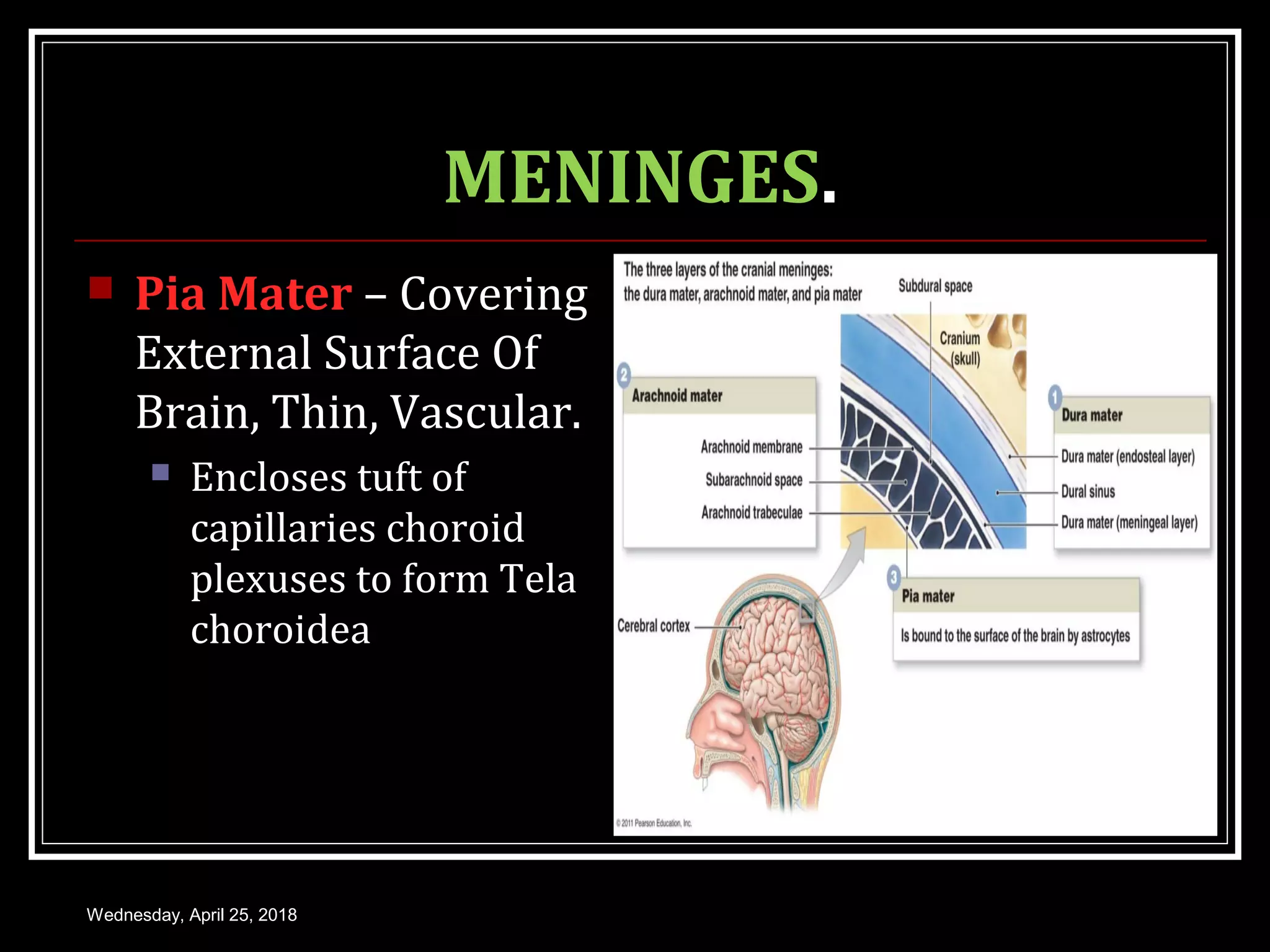 MENINGES, CEREBROSPINAL FLUID AND BLOOD BRAIN BARRIER | PPT