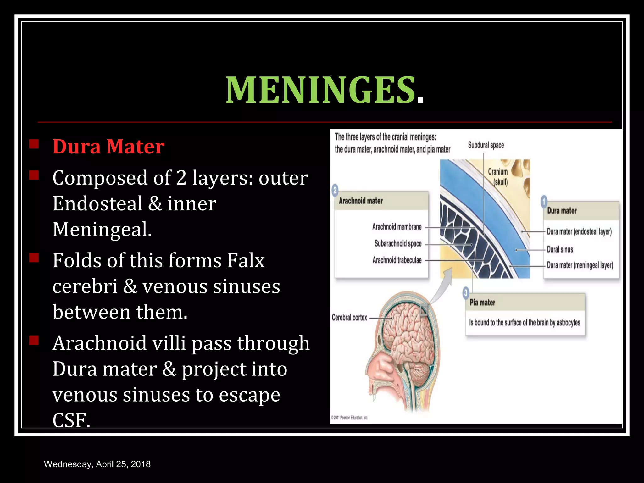 MENINGES, CEREBROSPINAL FLUID AND BLOOD BRAIN BARRIER | PPT