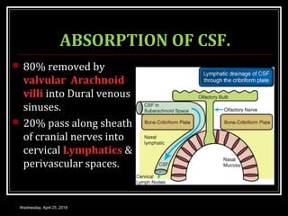 MENINGES, CEREBROSPINAL FLUID AND BLOOD BRAIN BARRIER | PPT