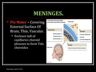 MENINGES, CEREBROSPINAL FLUID AND BLOOD BRAIN BARRIER | PPT