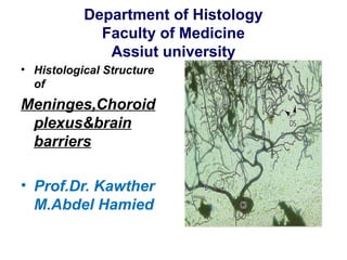 Meninges,Choroid Plexus&Brain Barriers..ppt