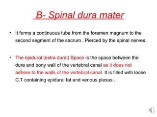 Meninges,Choroid Plexus&Brain Barriers..ppt
