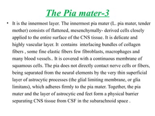Meninges,Choroid Plexus&Brain Barriers..ppt