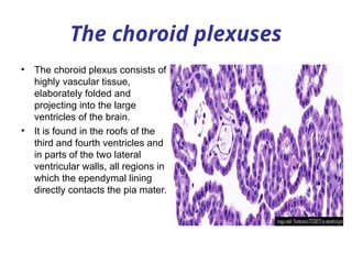 Meninges,Choroid Plexus&Brain Barriers..ppt