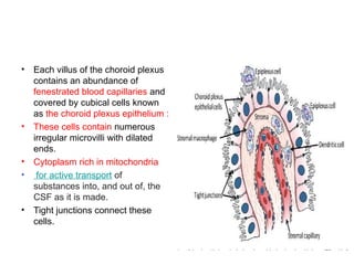 Meninges,Choroid Plexus&Brain Barriers..ppt