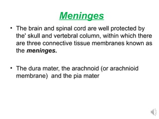 Meninges,Choroid Plexus&Brain Barriers..ppt