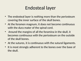 meninges of brain 1.pptx which will help | PPT