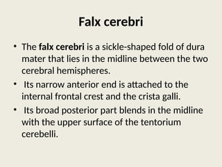 meninges of brain 1.pptx which will help | PPT