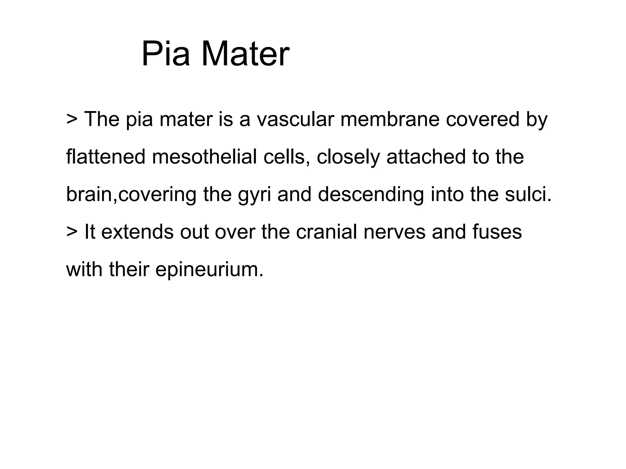Meninges of brain and spinal cord | PPTX