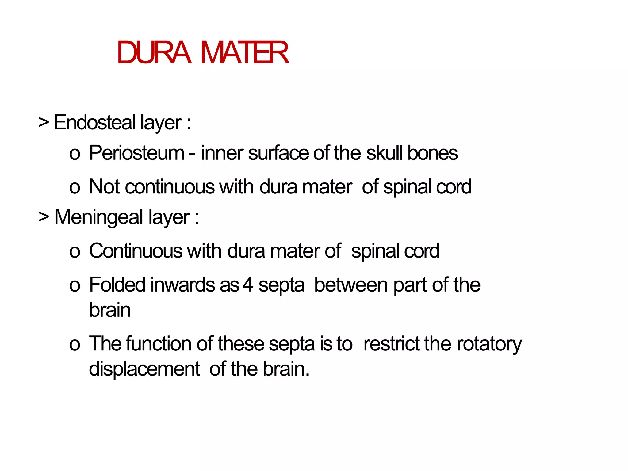 Meninges of brain and spinal cord | PPTX
