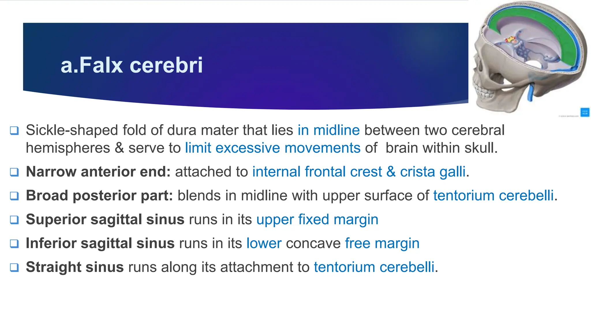 Meninges of Brain & Spinal Cord AnD Dura Venous Sinuses .pptx