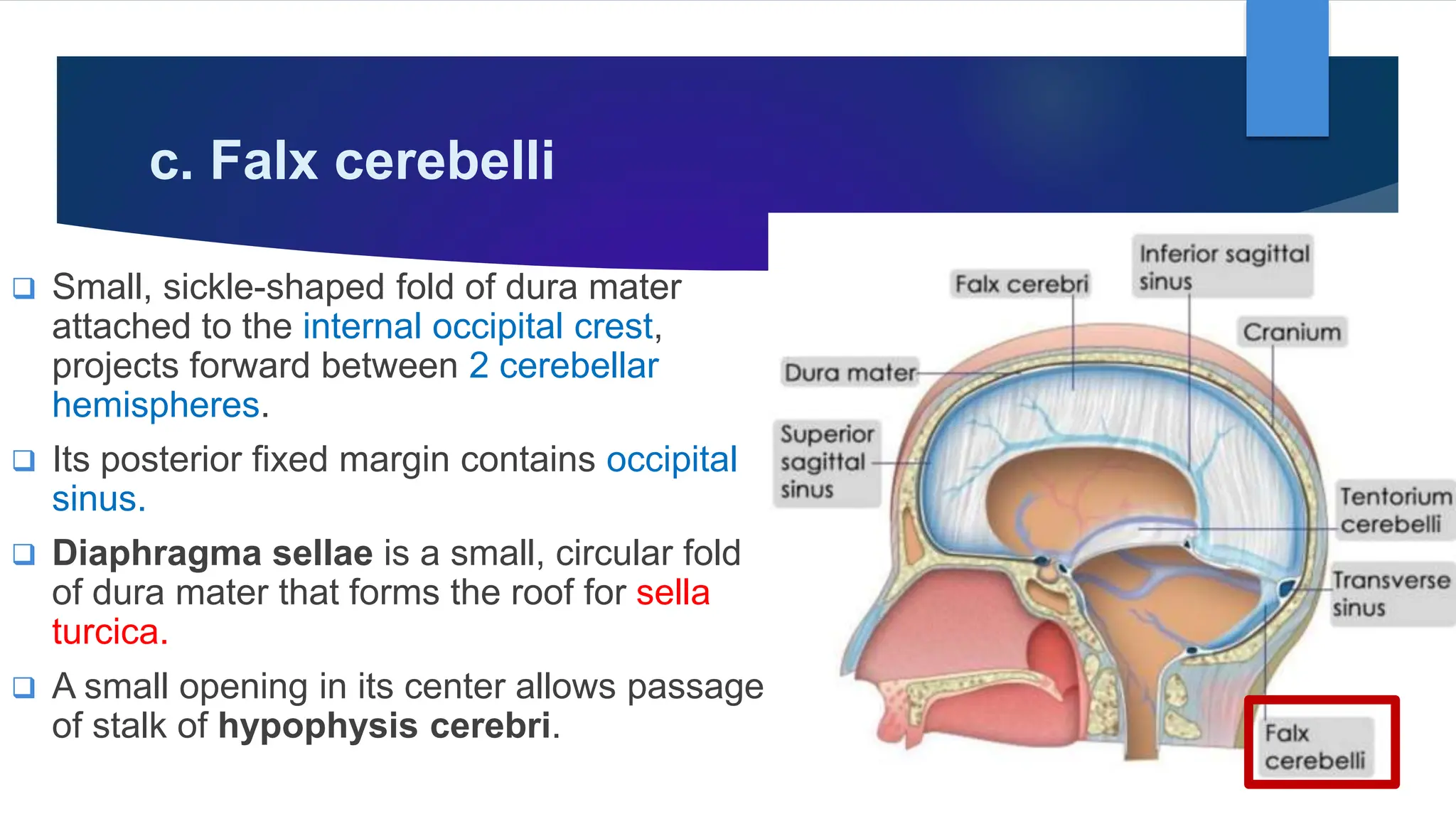 Meninges of Brain & Spinal Cord AnD Dura Venous Sinuses .pptx