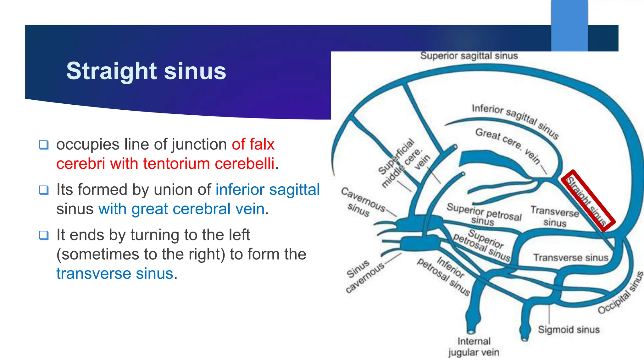 Meninges of Brain & Spinal Cord AnD Dura Venous Sinuses .pptx
