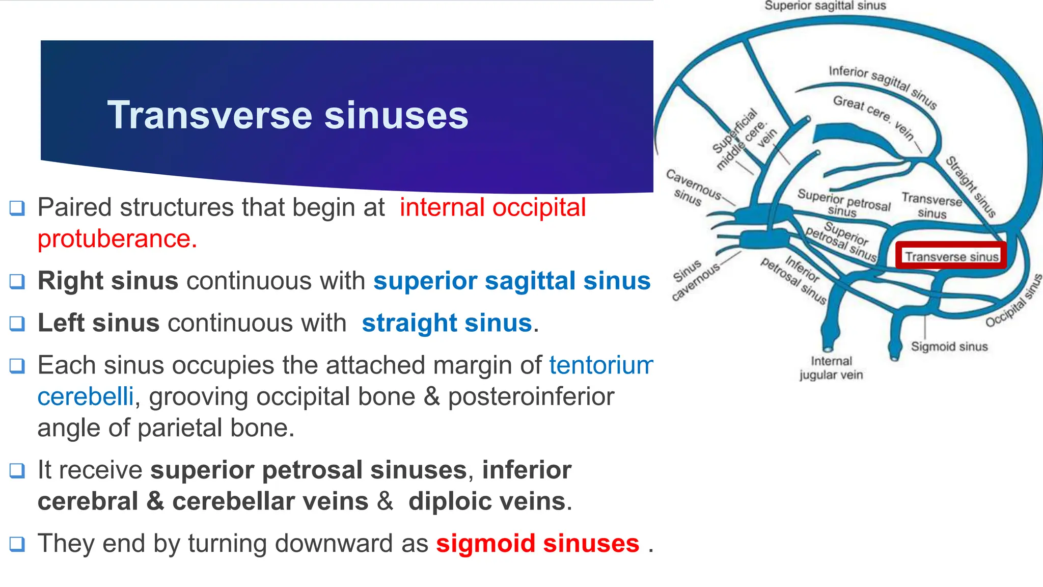 Meninges of Brain & Spinal Cord AnD Dura Venous Sinuses .pptx