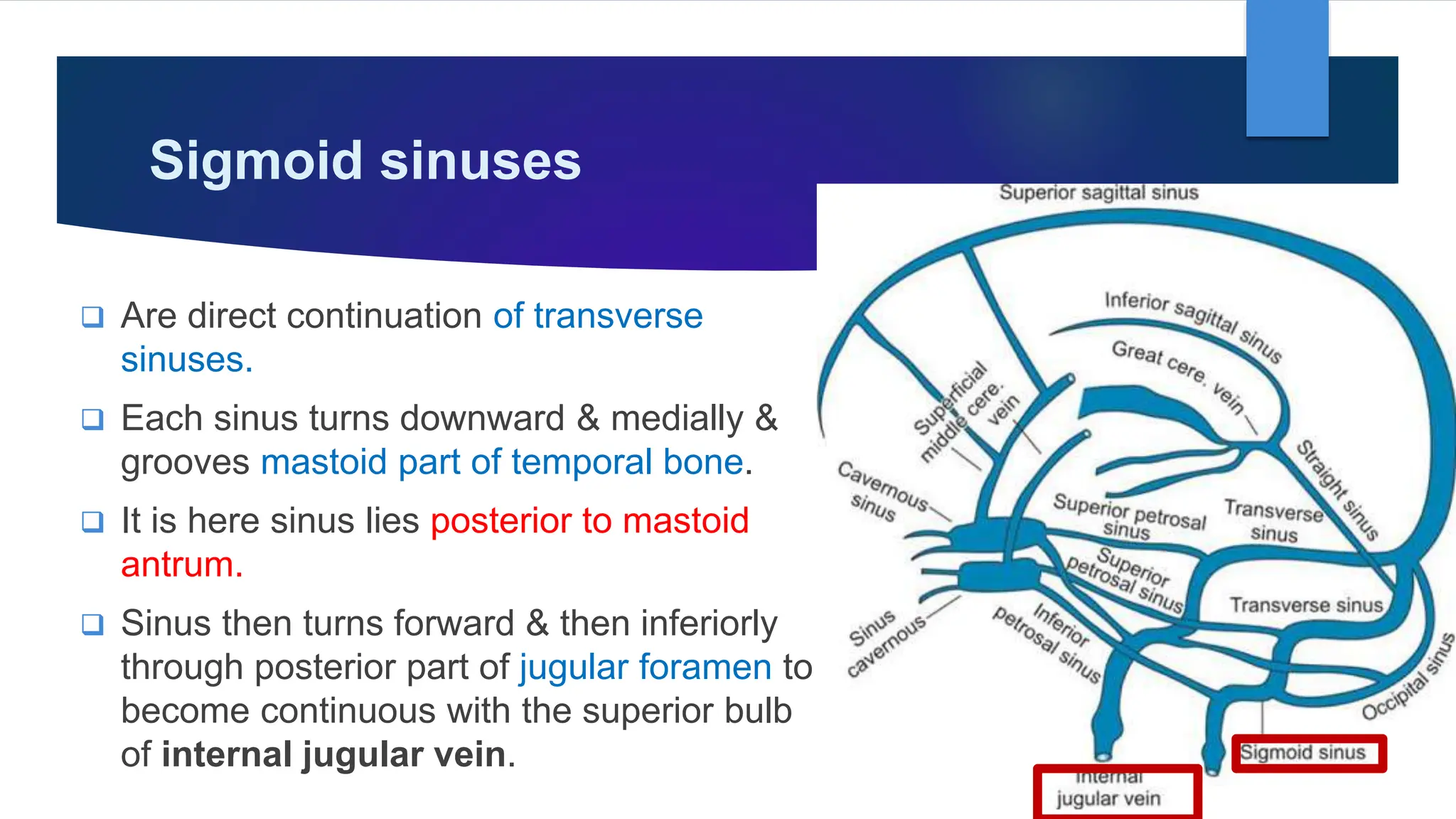 Meninges of Brain & Spinal Cord AnD Dura Venous Sinuses .pptx
