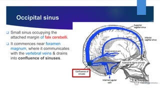 Meninges of Brain & Spinal Cord AnD Dura Venous Sinuses .pptx