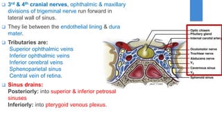 Meninges of Brain & Spinal Cord AnD Dura Venous Sinuses .pptx