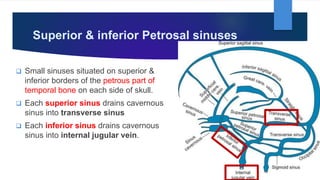 Meninges of Brain & Spinal Cord AnD Dura Venous Sinuses .pptx
