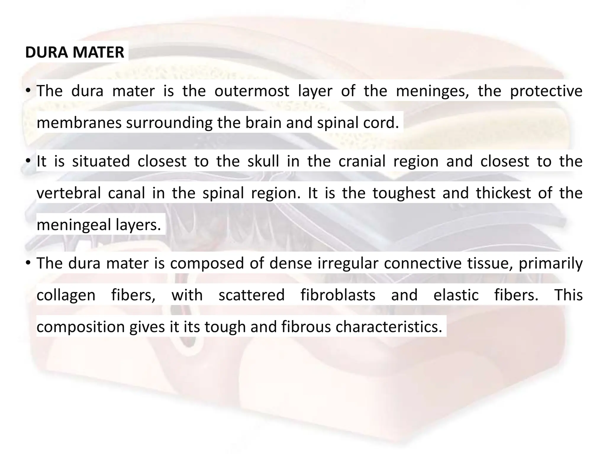 MENINGES OF THE BRAIN DETAIL ABOUT DURA MATER | PPTX