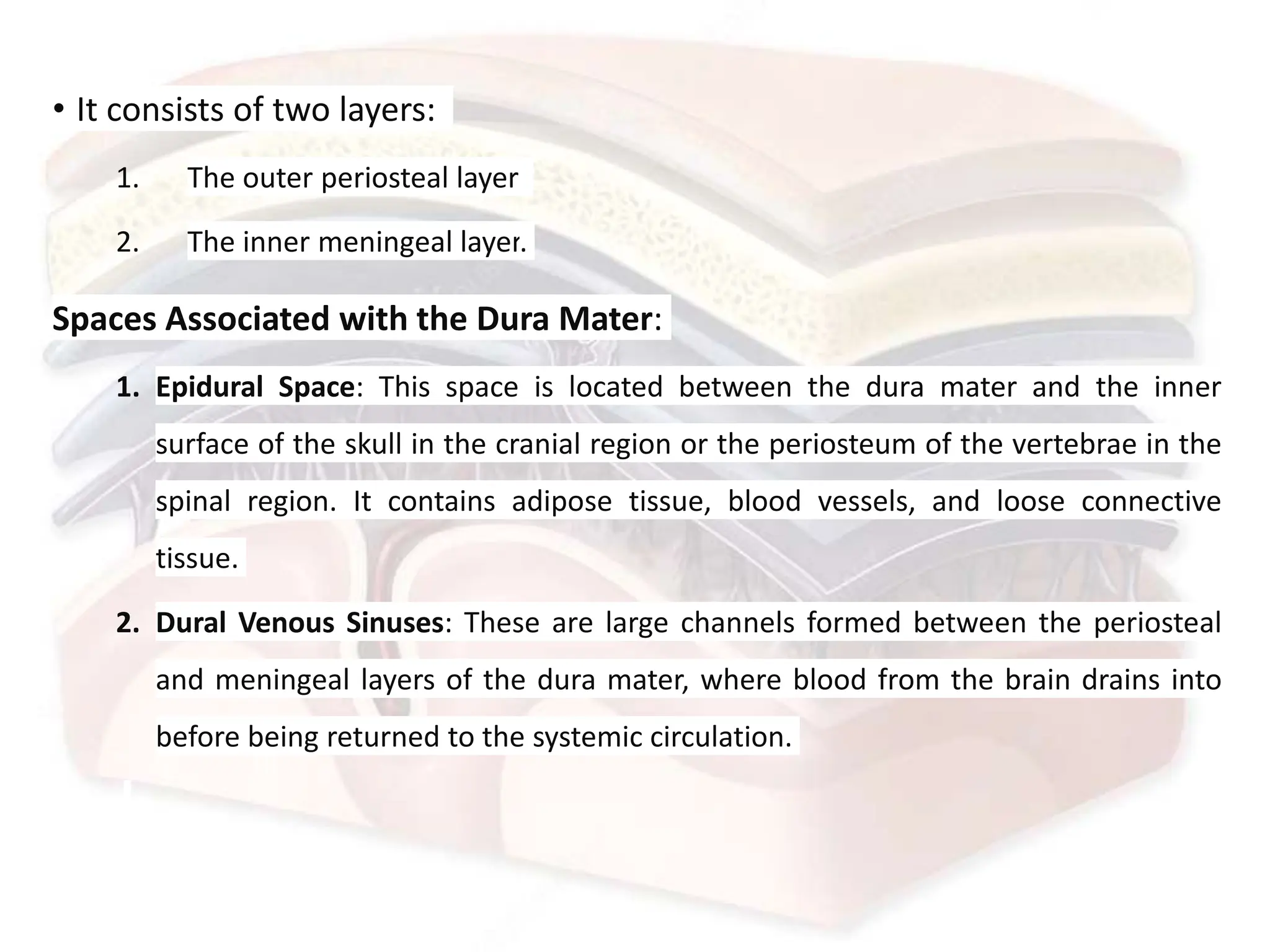 MENINGES OF THE BRAIN DETAIL ABOUT DURA MATER | PPTX