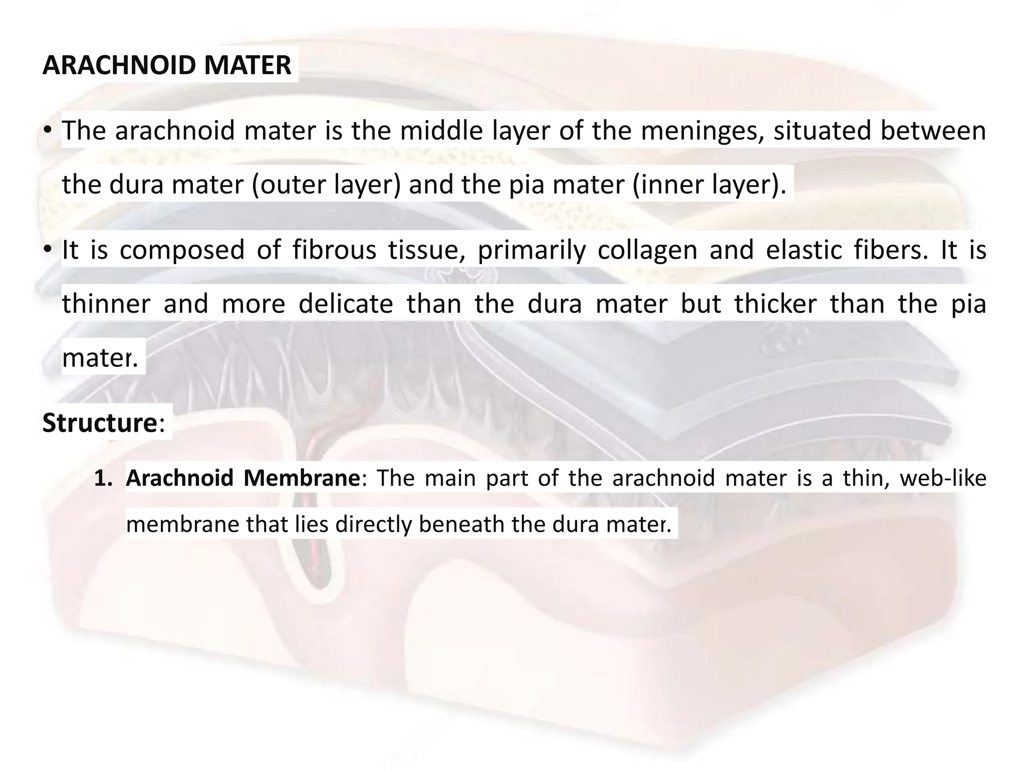 MENINGES OF THE BRAIN DETAIL ABOUT DURA MATER | PPTX