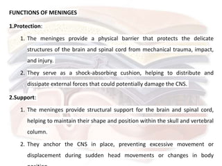 MENINGES OF THE BRAIN DETAIL ABOUT DURA MATER | PPTX