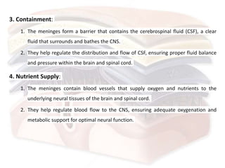 MENINGES OF THE BRAIN DETAIL ABOUT DURA MATER | PPTX